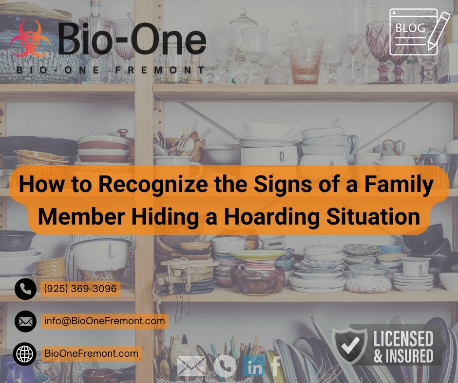 How to Recognize the Signs of a Family Member Hiding a Hoarding ...